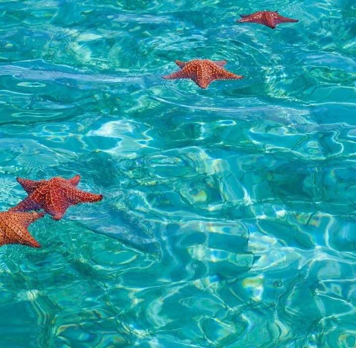 Mythos Palace Beach Resort in Corfu - 5* Adults-only Hotel
